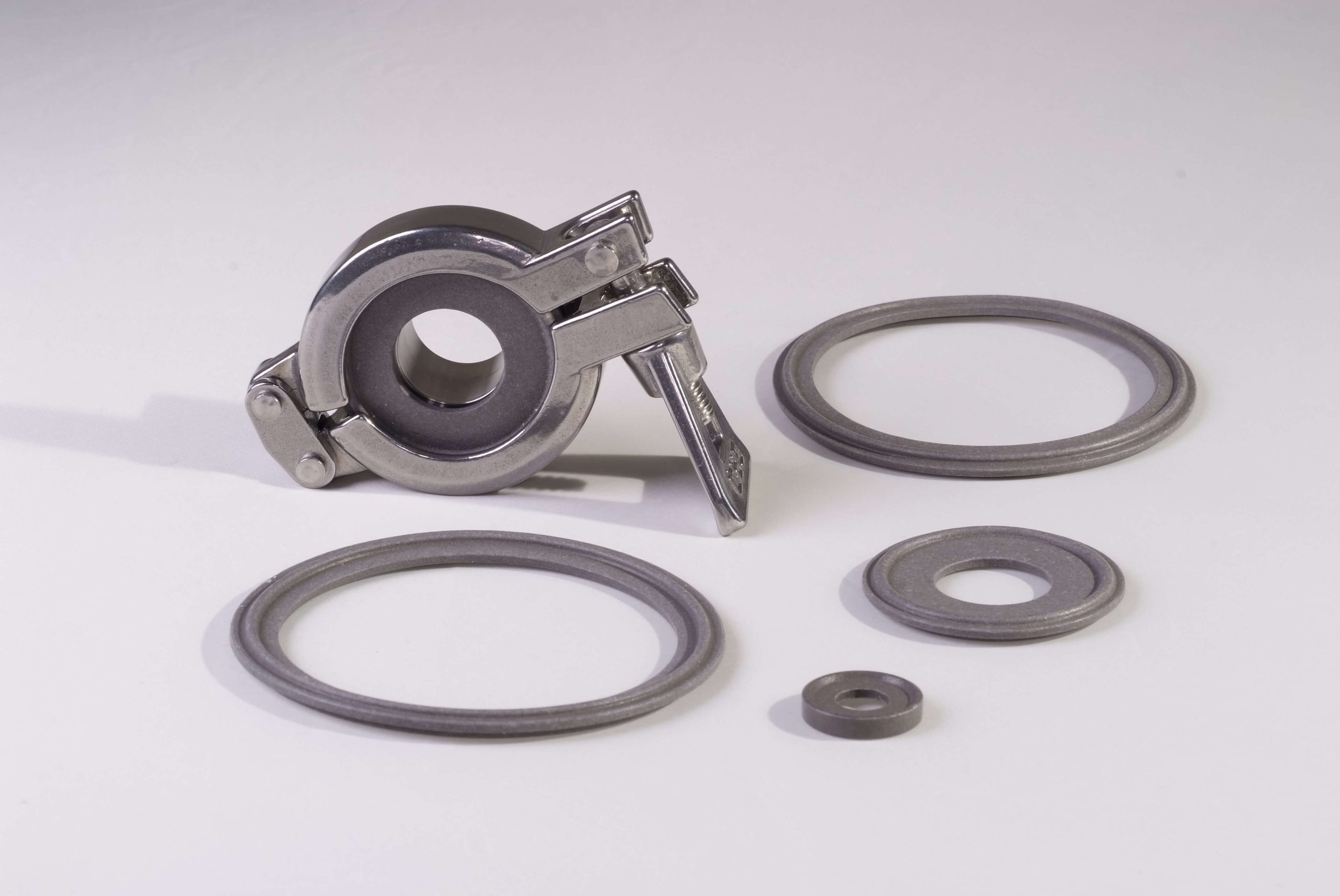 Sealing Technologies for Sanitary Process Applications